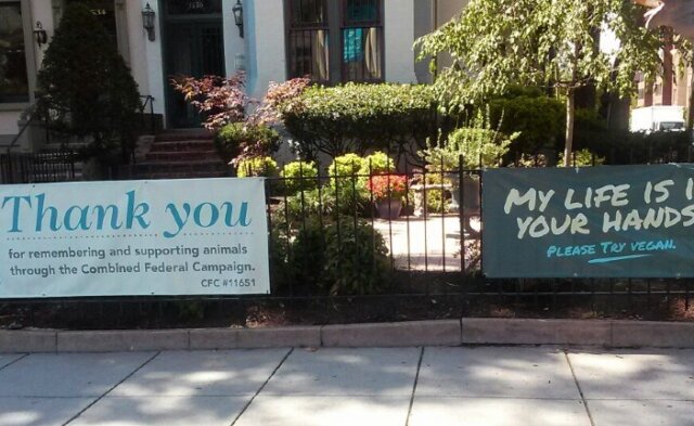 PETA Prime: Do Something: How One Phone Call Can Save Lives