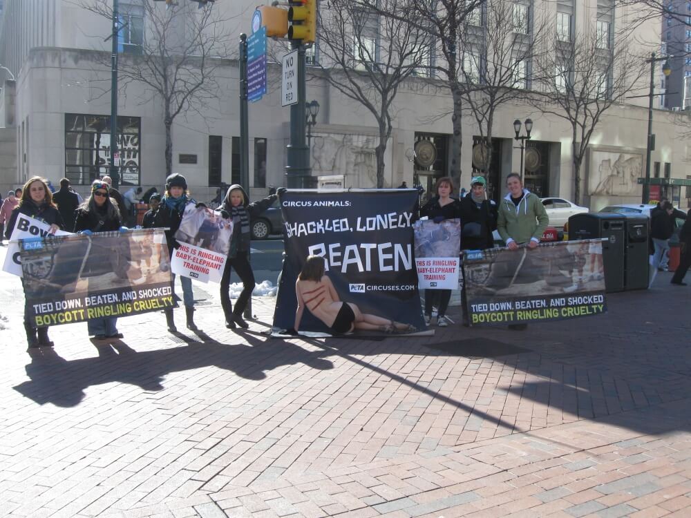 PETA Prime: Evolution of an Advocate