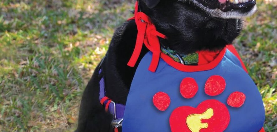 PETA Prime: Book Review: 'Foster: Saving the World One Pooch at a Time'