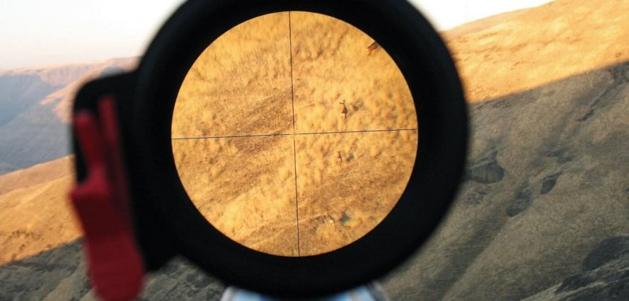 PETA Prime: The Psychology Behind Trophy Hunting—Part 1