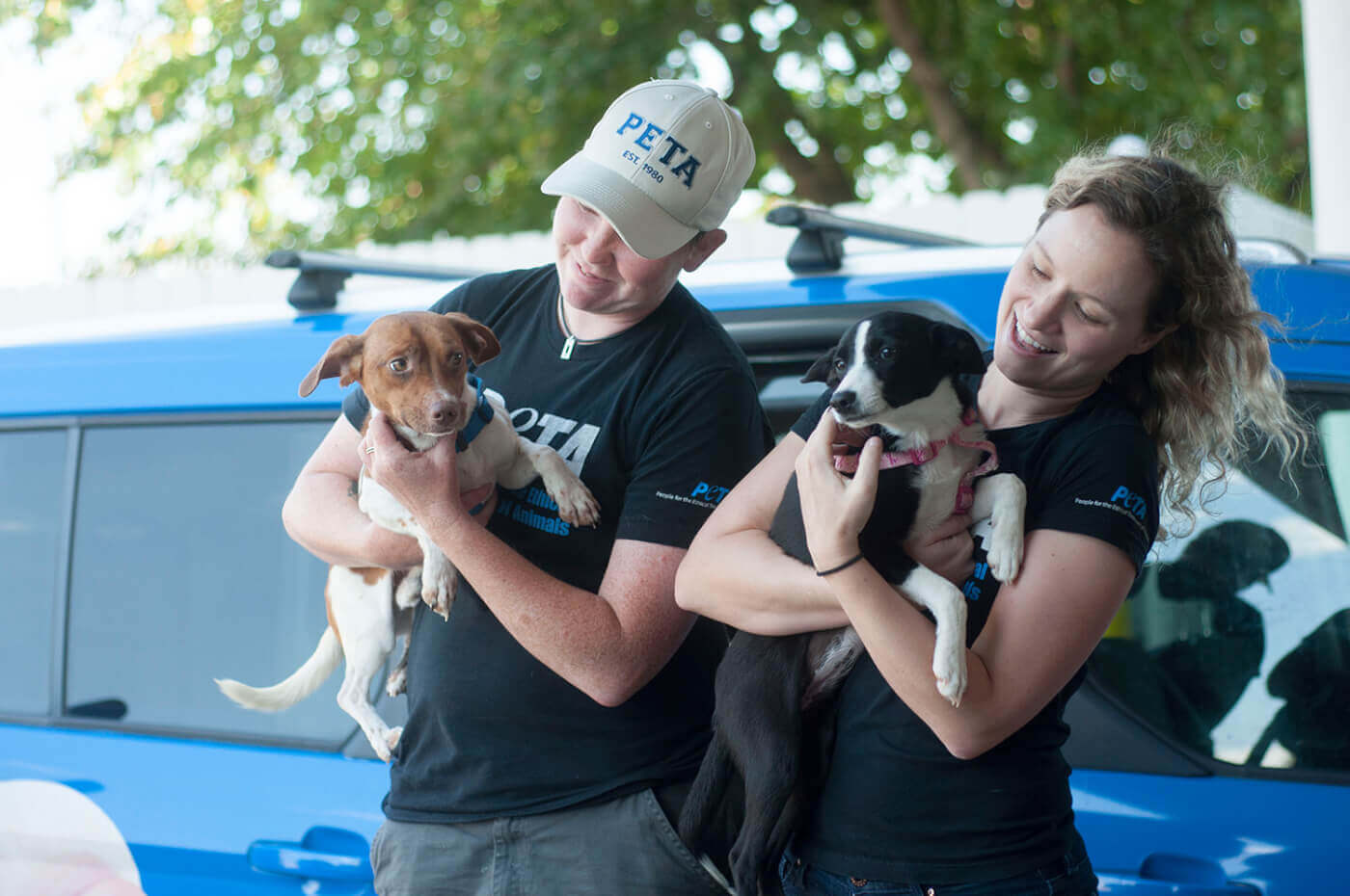 PETA Prime: Spring Cleaning Can Help Animals