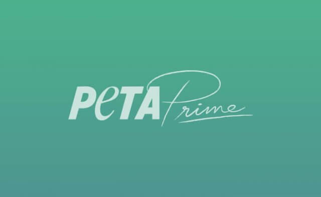 Christen Hanson’s Lasting Legacy for Animals | PETA Prime