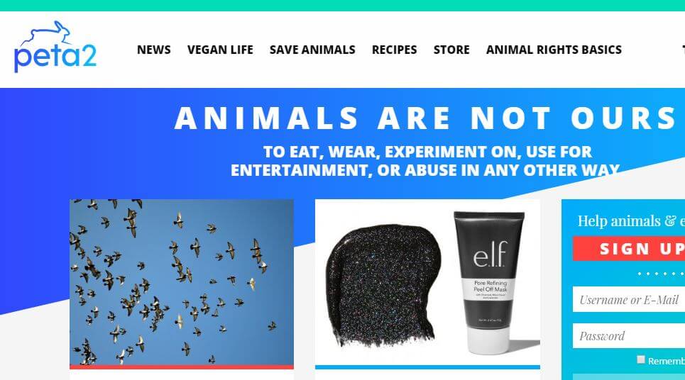 PETA Prime: When ‘Old School’ Methods Just Won’t Do, We Rely on peta2