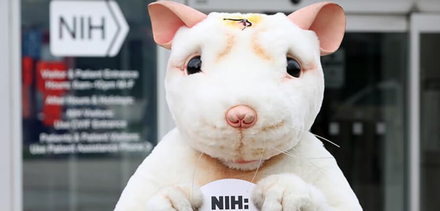 PETA Prime: 5 Ways PETA Is Helping Animals in Laboratories This Week