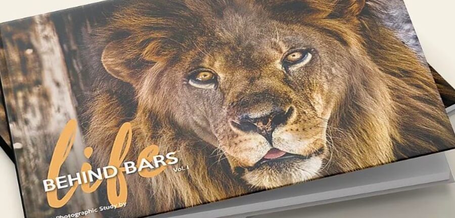 PETA Prime: These Fine Art Prints Can Save Lives