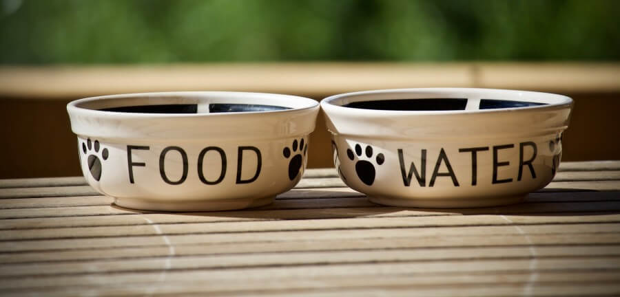 PETA Prime: What's 'Clean Pet Food,' and Can It Change the World?