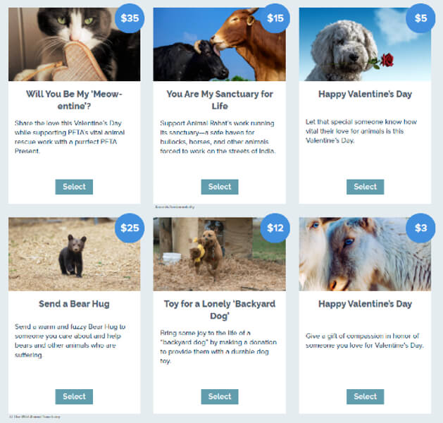 Share the Love With Vegan Chocolates This Valentine’s Day! | PETA Prime