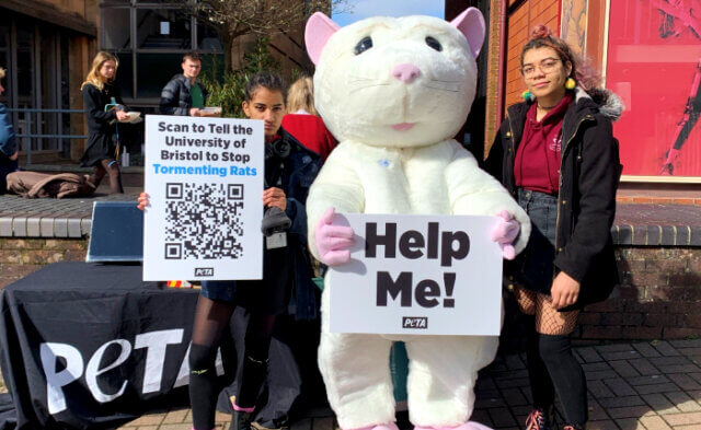 10 Easy Things You Can Do to Help Animals! | PETA Prime