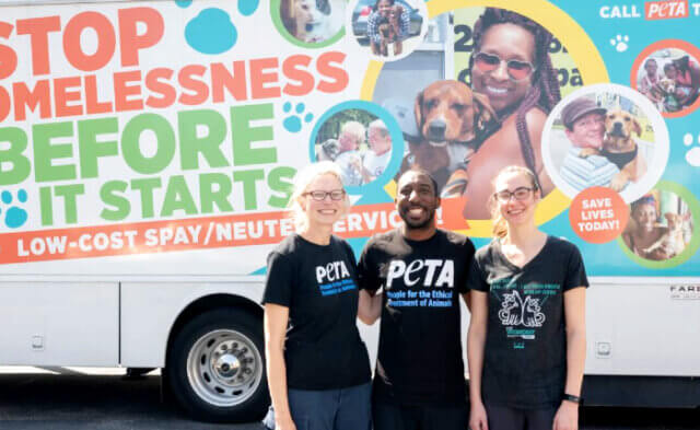 PETA Prime: Bad Science: PETA Explains Tests That Torment Animals