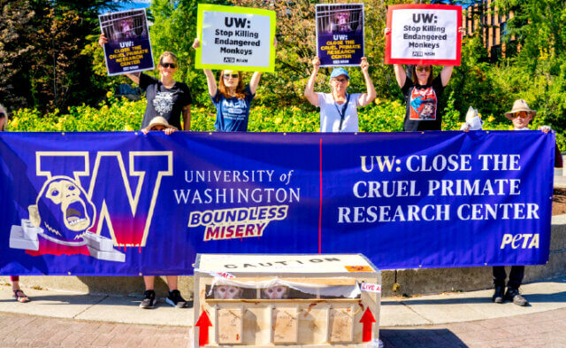 PETA Prime: PETA Teams Up With The Community in Miami to Help Animals ...