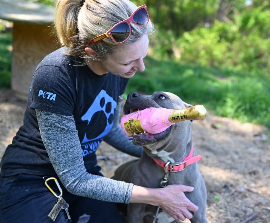 Donate Gifts From PETA s Amazon Wish List PETA Prime