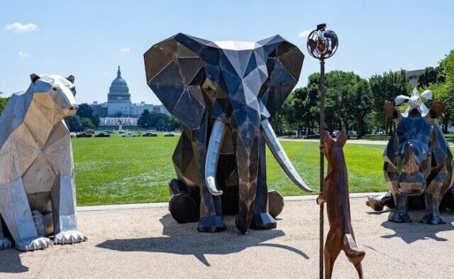 Tiny Tanks Kill! | PETA Prime