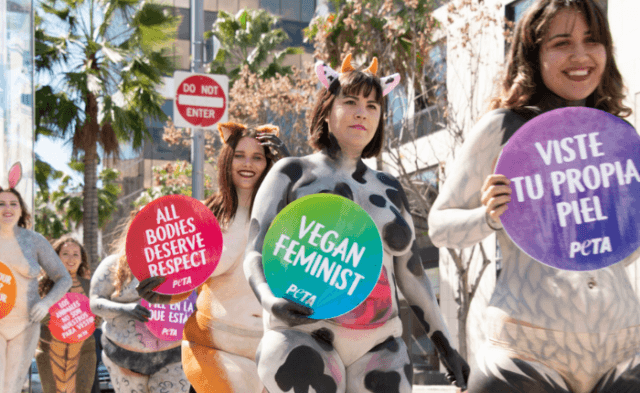 5 Ways PETA Is Helping Animals in Laboratories This Week | PETA Prime