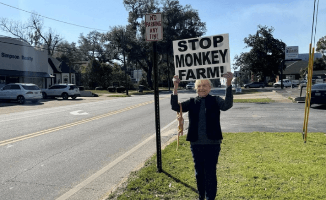 5 Ways PETA Is Helping Animals in Laboratories This Week | PETA Prime