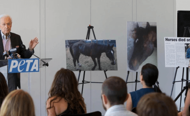 PETA Prime: Leave a Compassionate Footprint With PETA’s Legacy Planning ...