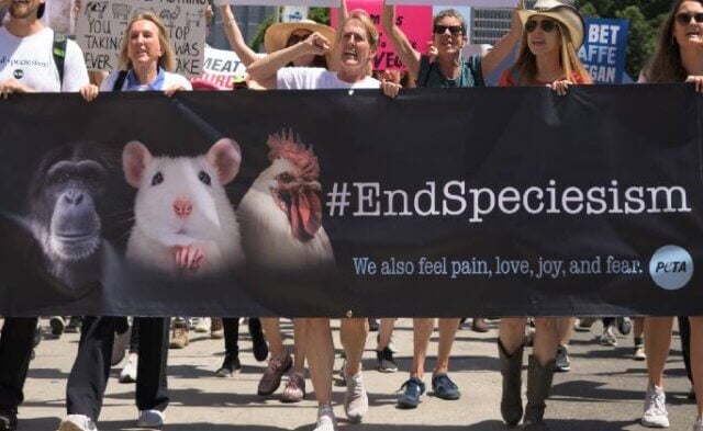 43 Times PETA Blew the Lid off Animal Abuse | PETA Prime